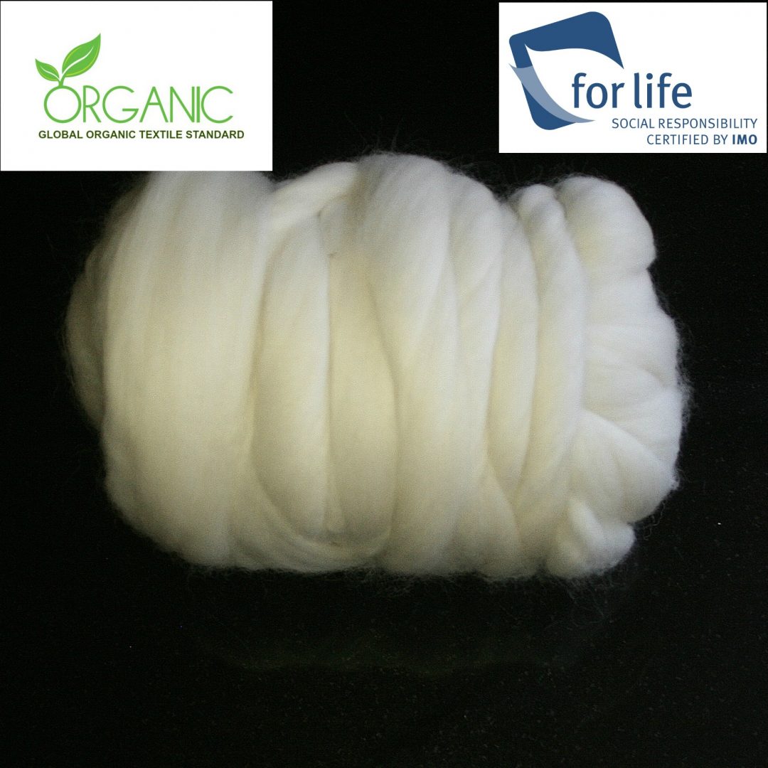 Curly Wool Locks – No fluff, just lots of curls | Lincolnshire Fenn Crafts